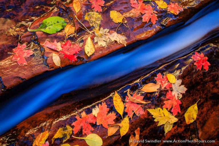 Southern Utah Fall Colors | Action Photo Tours | Utah Photo Tours