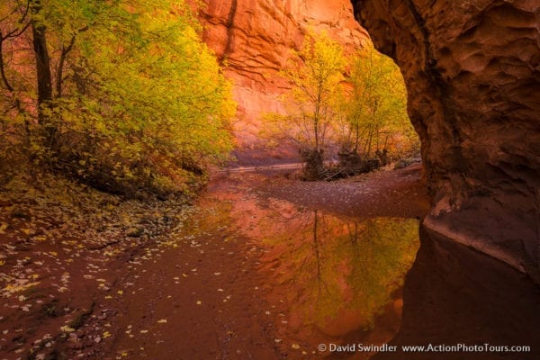 Southern Utah Fall Colors | Action Photo Tours | Utah Photo Tours