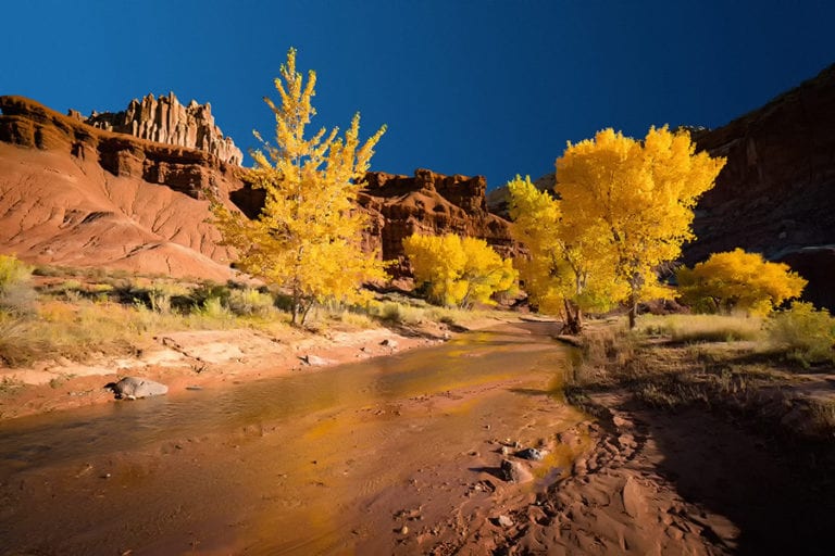 Southern Utah Fall Colors | Action Photo Tours | Utah Photo Tours