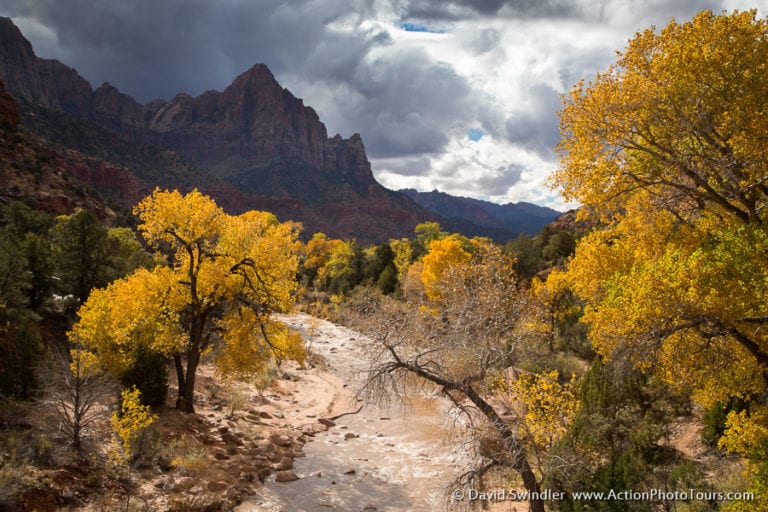 Southern Utah Fall Colors | Action Photo Tours | Utah Photo Tours