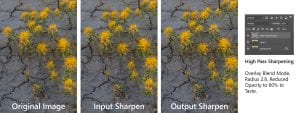 Preparing Images For Print : Action Photo Tours