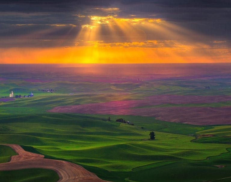Spring in the Palouse Photo Workshop : Action Photo Tours