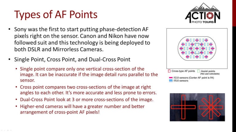 Understanding Auto-Focus : Action Photo Tours