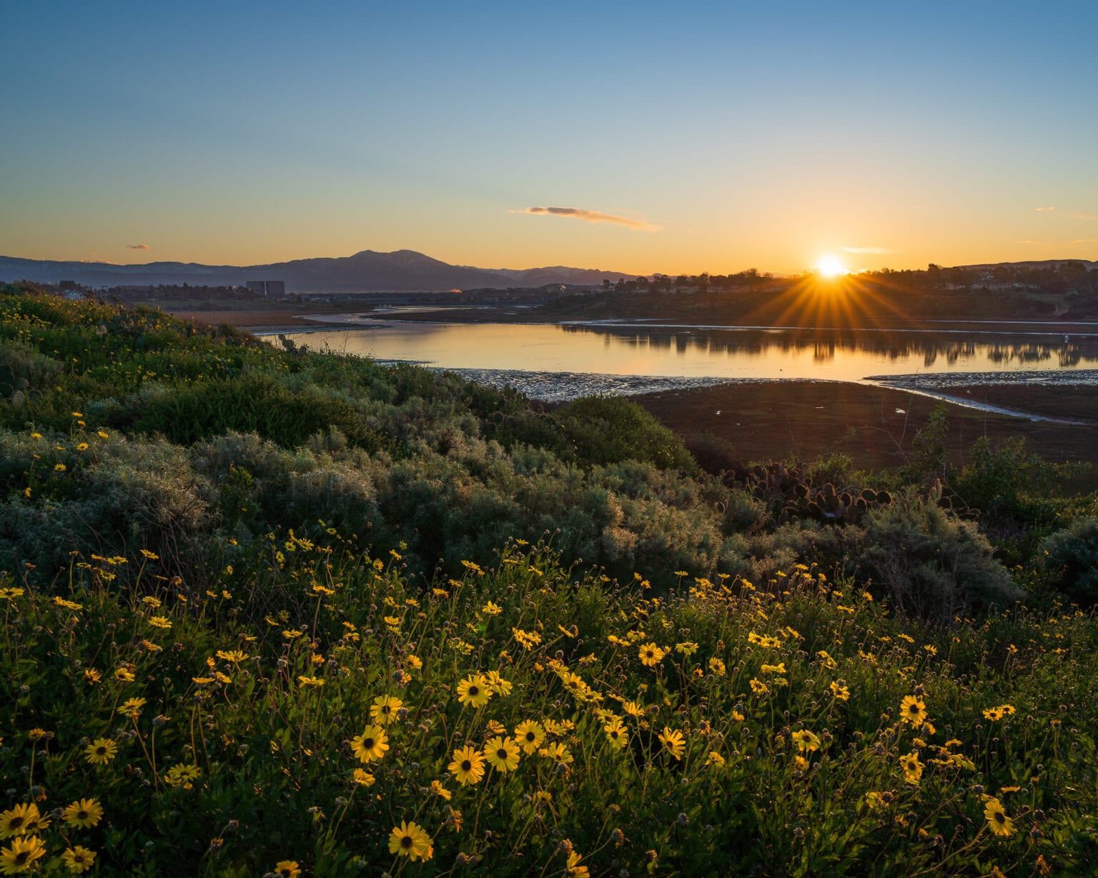 What Is The Best Camera For Landscape Photography? : Action Photo Tours