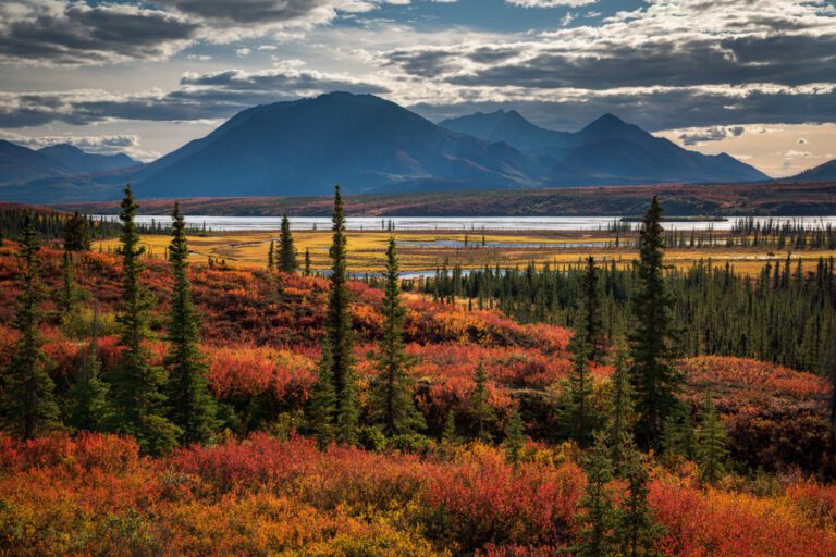 Northern Utah Fall Colors Photography Workshop : Action Photo Tours