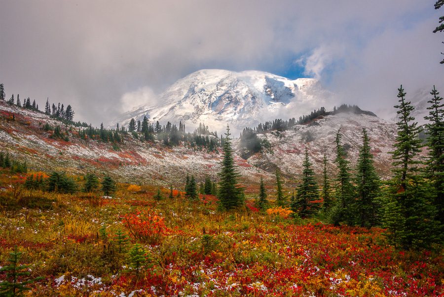 Pacific Northwest Photo Workshops | Action Photo Tours