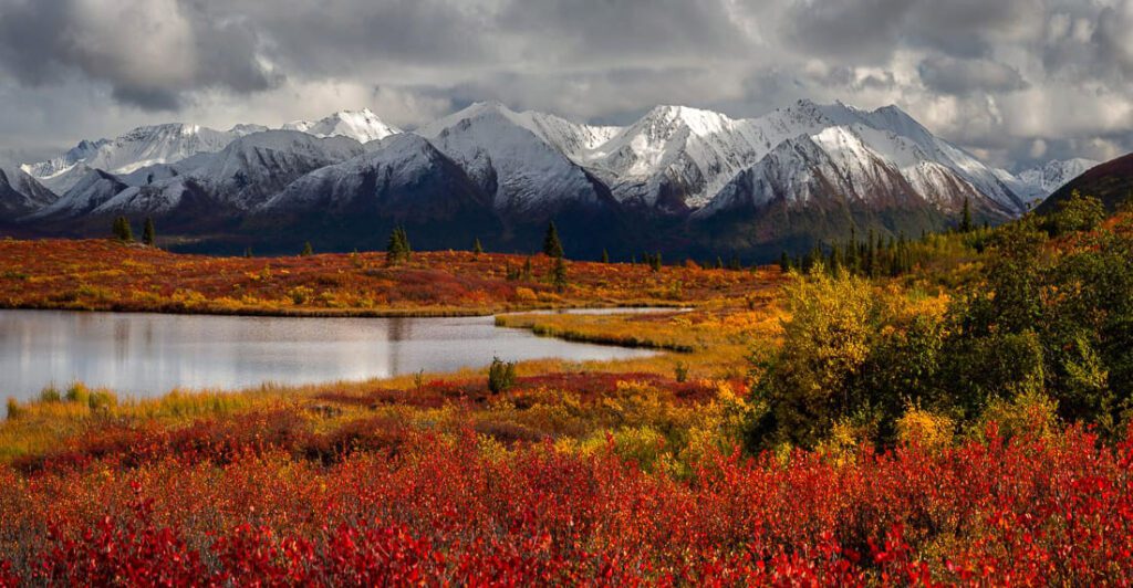 Alaska Fall Colors Photography Workshop : Action Photo Tours