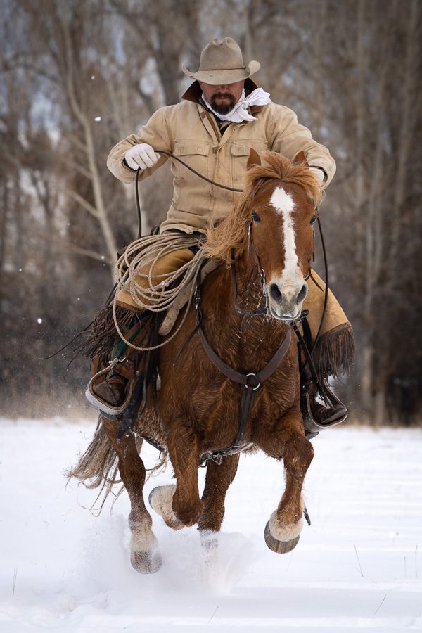 Ranch Horse Photography