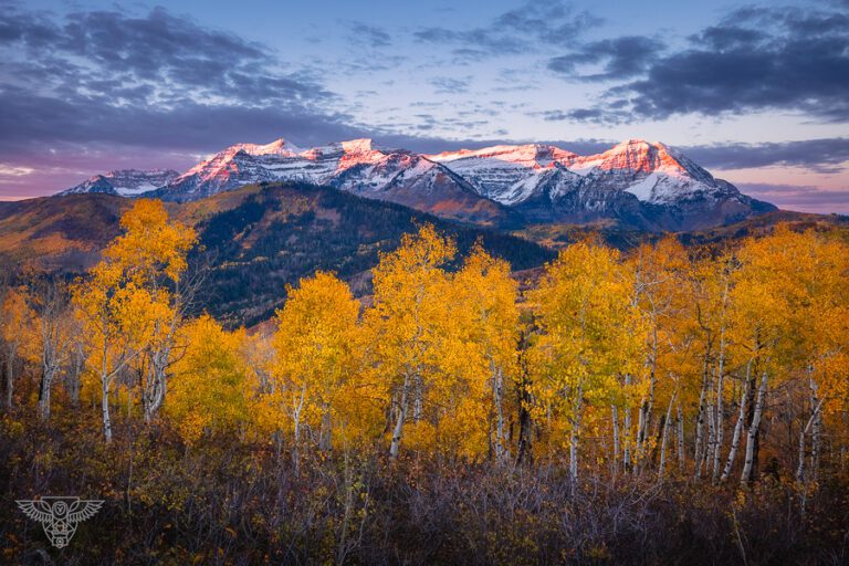 Northern Utah Fall Colors Photography Workshop : Action Photo Tours