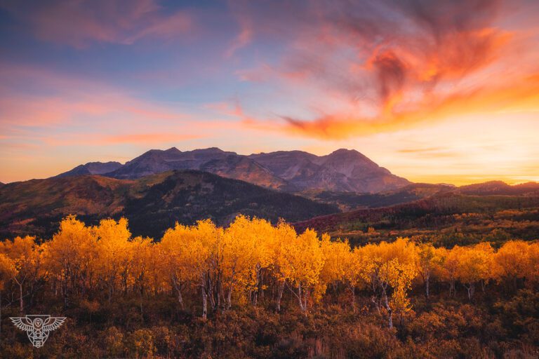 Northern Utah Fall Colors Photography Workshop : Action Photo Tours