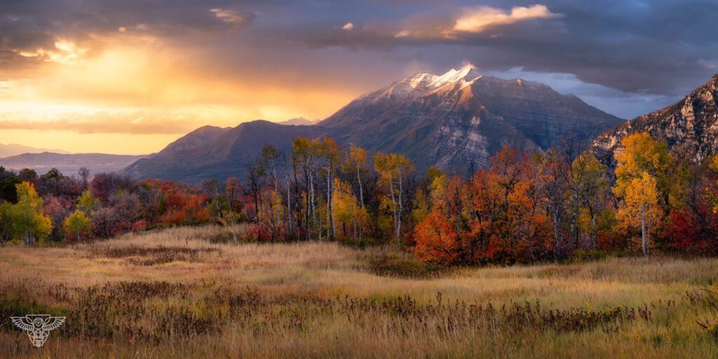 Northern Utah Fall Colors Photography Workshop