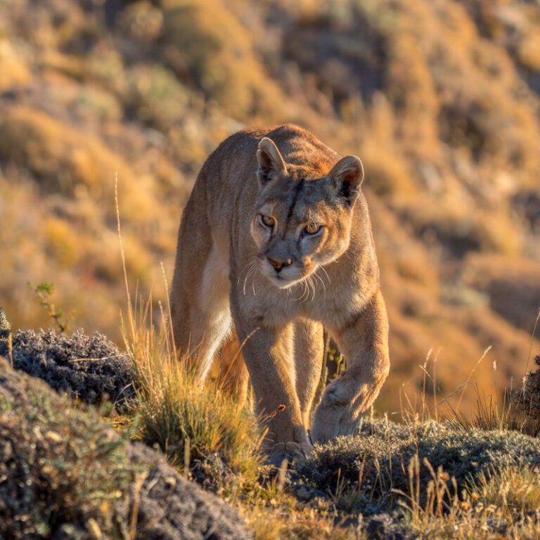 Action Photo Tours : Photo Workshops and Photo Tours