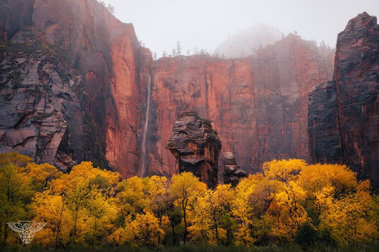 Zion Fall Colors Workshop in Utah : Action Photo Tours : Photo Workshop