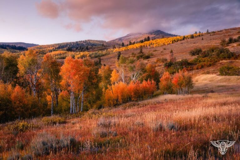 Northern Utah Fall Colors Photography Workshop