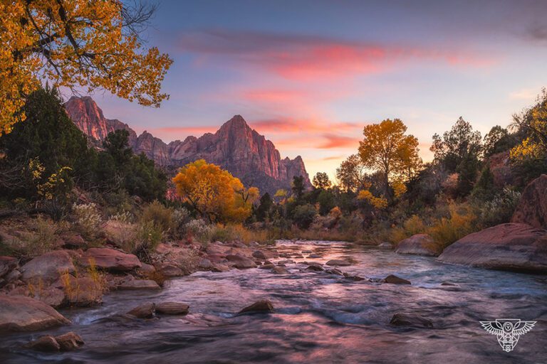 Zion Fall Colors Workshop in Utah : Action Photo Tours : Photo Workshop