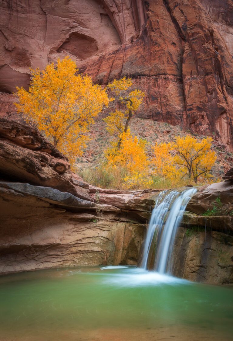 Canyon Colors Photo Workshop : Action Photo Tours